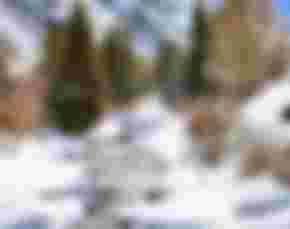 Frisco Area Snow Report & Mountain Conditions | Live Webcams