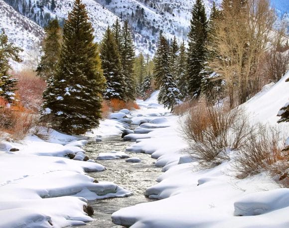 Frisco Area Snow Report & Mountain Conditions | Live Webcams